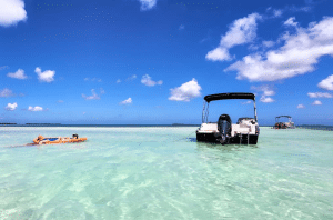 Best Sandbar Tours in Key West | Florida Keys Sandbar Adventures